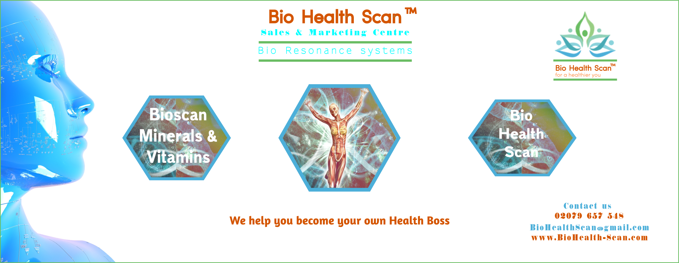 Curious about Your Health? Bio resonance - Holistic Therapist Directory